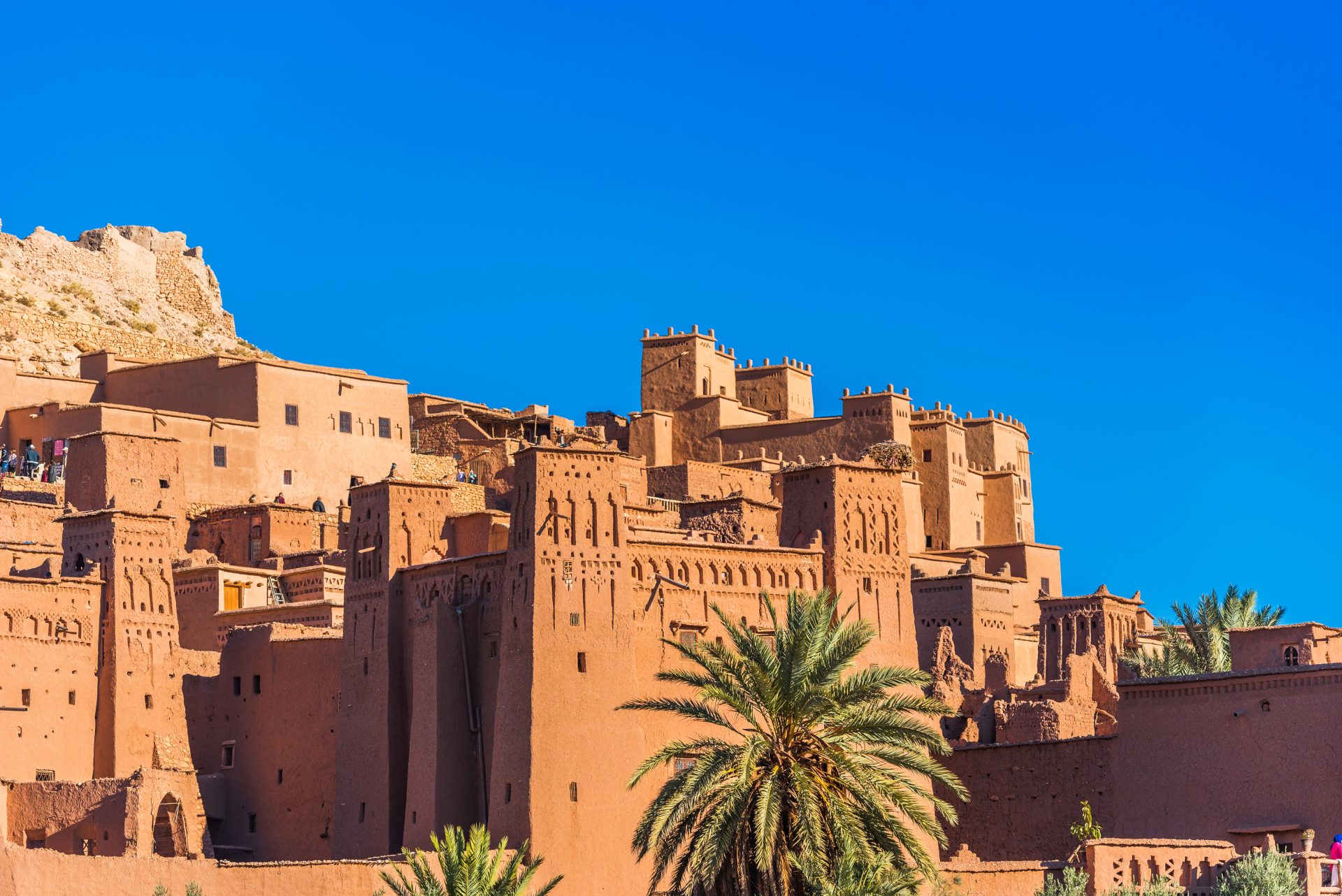 Textiles & Arts Tour of Morocco - Behind the Scenes Adventures